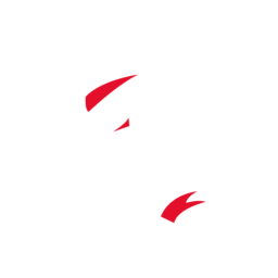 Sheet - Profile | Challengermode