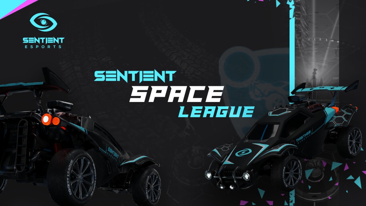 Sentient Space League - Bracket - Tournament | Challengermode