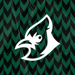 Mocinnos Gaming (Raptor) - Profile | Challengermode