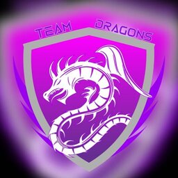 The Dragons Team - Profile | Challengermode