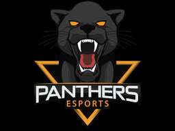 PANTHERS ESPORTS WILD RIFT - Profile | Challengermode