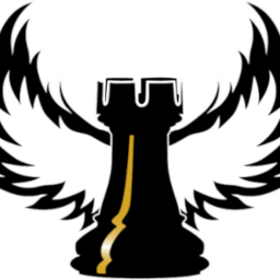 Rook Gaming - Profile | Challengermode