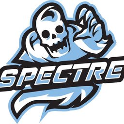 Spectre Team Not a real team. (was deleted at: 2021-12-28T15:28:36 ...