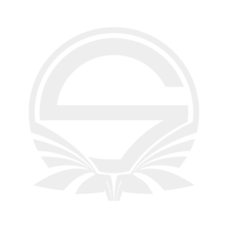 Team Singularity | Challengermode