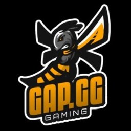 gap.gg - Profile | Challengermode