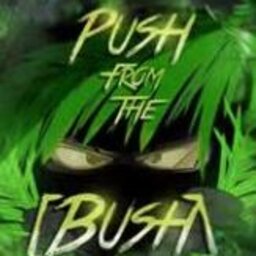 push from the bush - Profile | Challengermode
