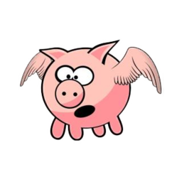 Flying Kammels - Profile | Challengermode