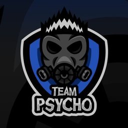 Psycho Team - Profile | Challengermode