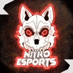 Nitro-esports#7 - Profile | Challengermode