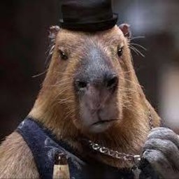 Savage Capybara - Profile | Challengermode