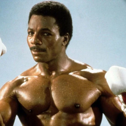 n4zed - Profile - User | Challengermode