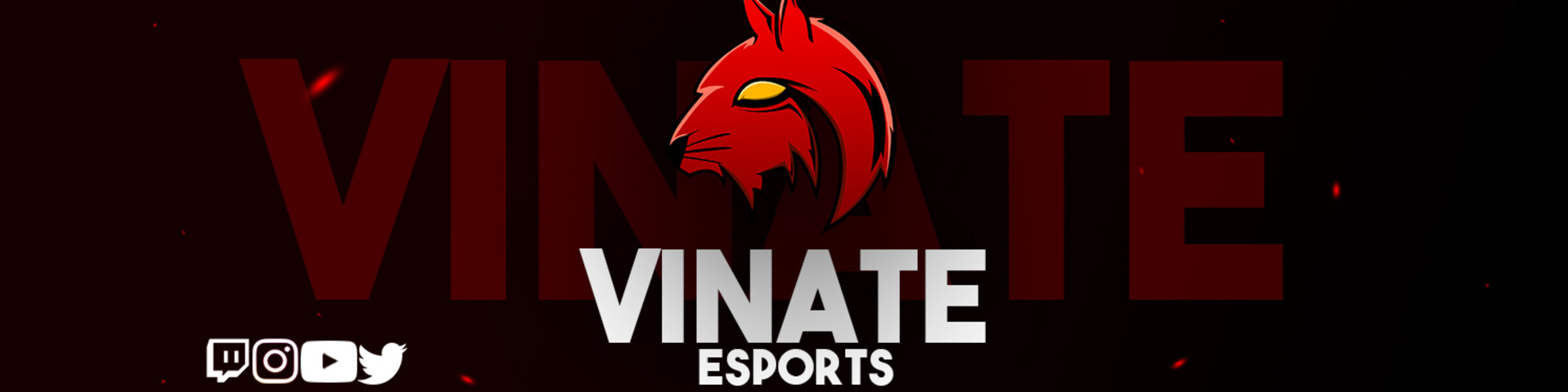 Vinate Esports - Profile | Challengermode